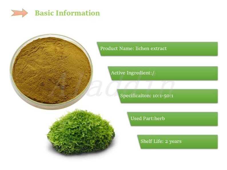 POWDER Pure of Old Man's Beard Beard Lichen Tree Lichen Usnea Barbata ...