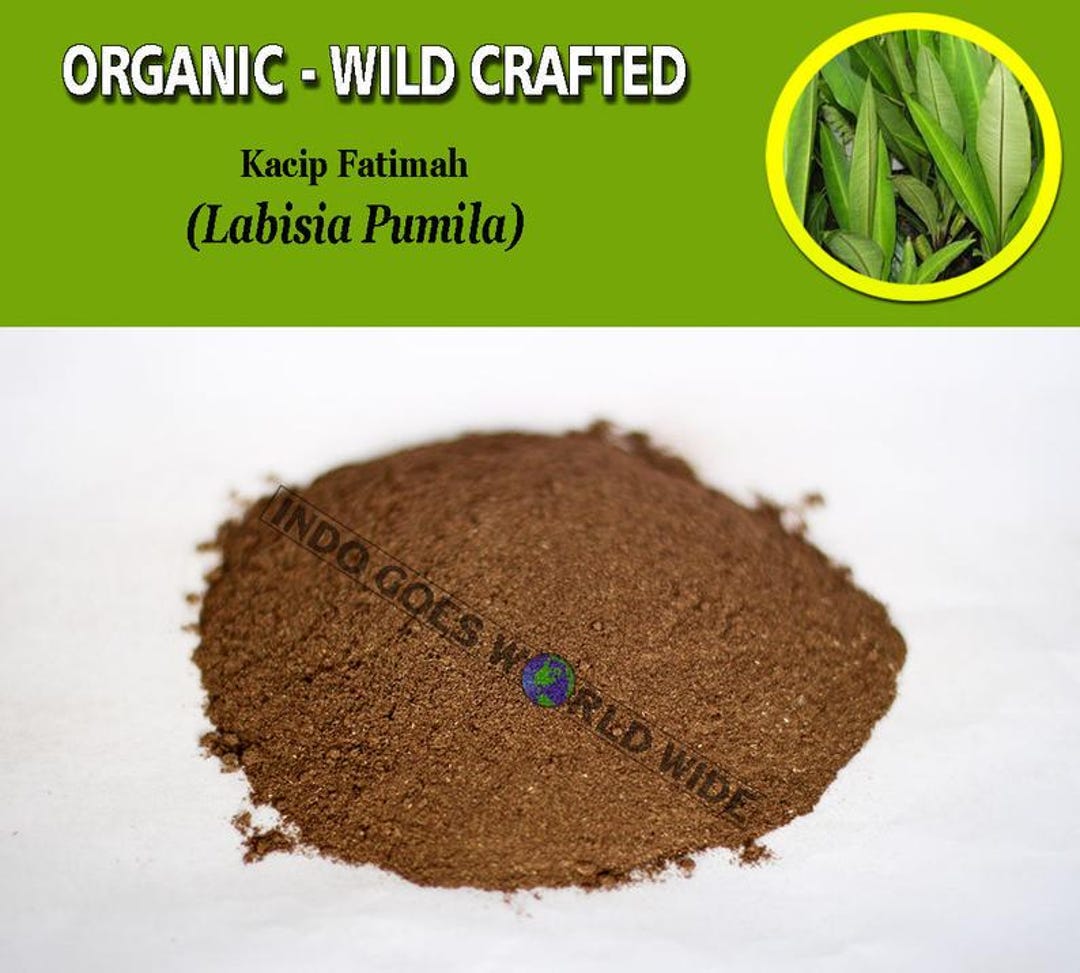 POWDER Pure of Kacip Fatimah Labisia Pumila Natural Organic Wild ...