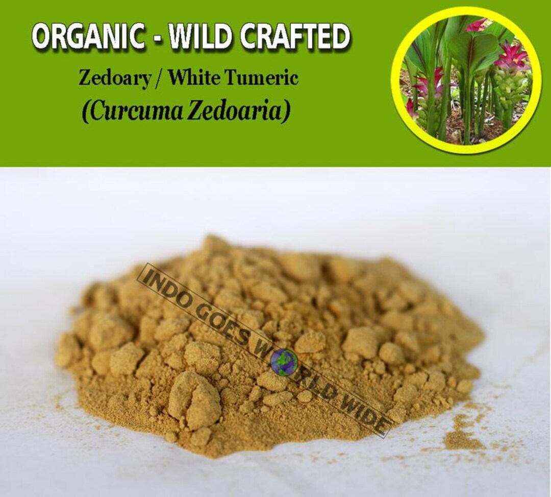 POWDER White Turmeric Zedoary Curcuma Zedoaria Organic Wildcrafted ...