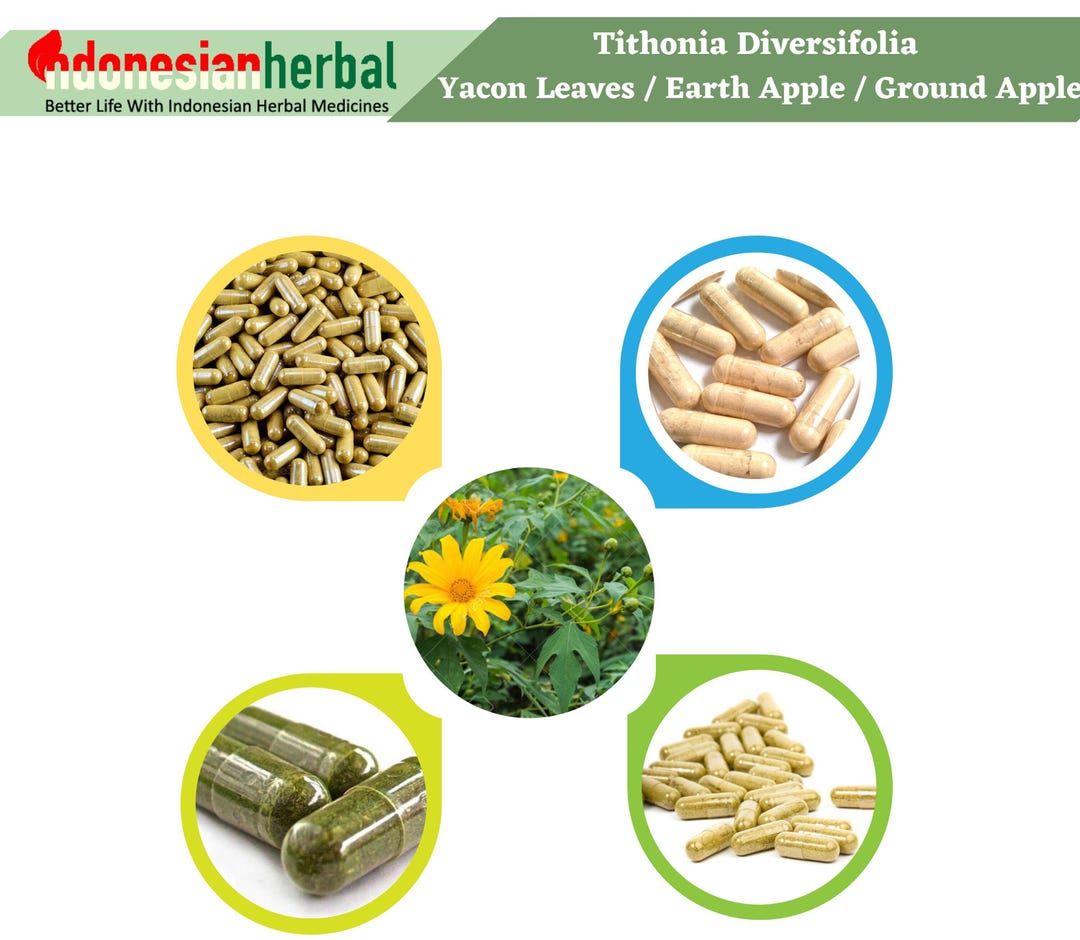 Capsule of Yacon Leaves Earth Apple Ground Apple Peruvian Ground Apple ...