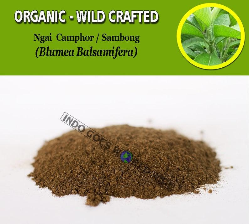 POWDER Pure of Sambong Leaves Ngai Camphor Blumea Balsamifera Organic ...