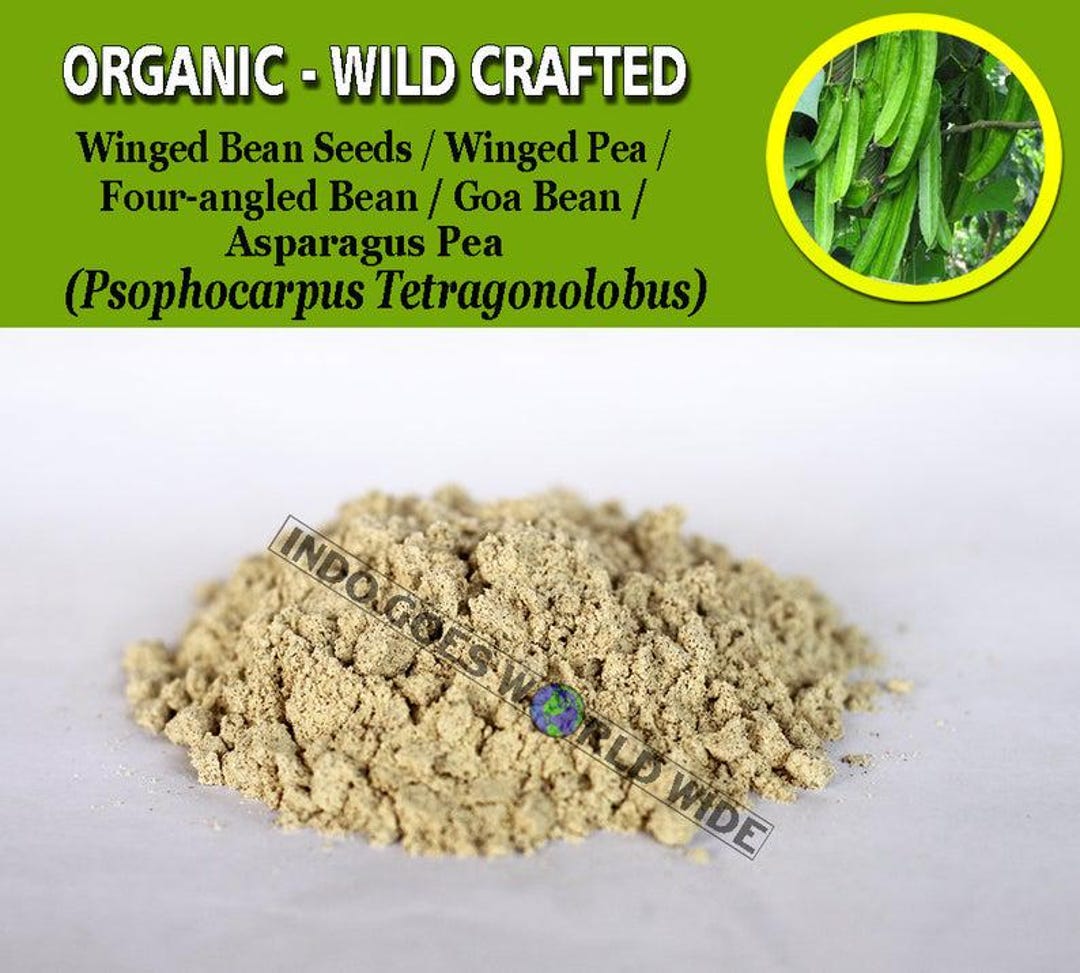 POWDER Winged Bean Seeds Winged Pea Four-angled Bean Goa Bean Asparagus ...
