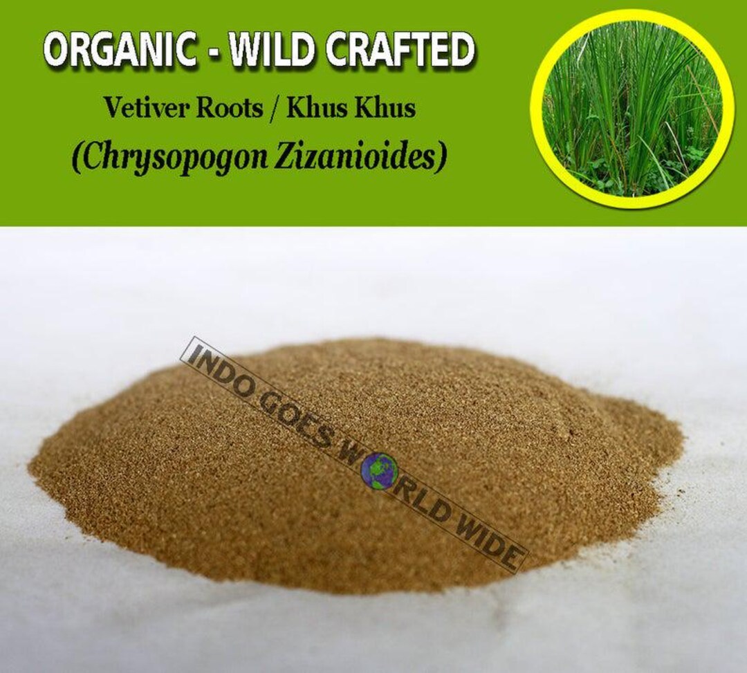 POWDER Vetiver Roots Khus Khus Chrysopogon Zizanioides Organic ...