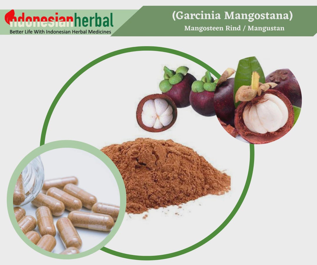 Capsule of Pure Mangosteen Rind Mangustan (garcinia Mangostana) 600mg ...