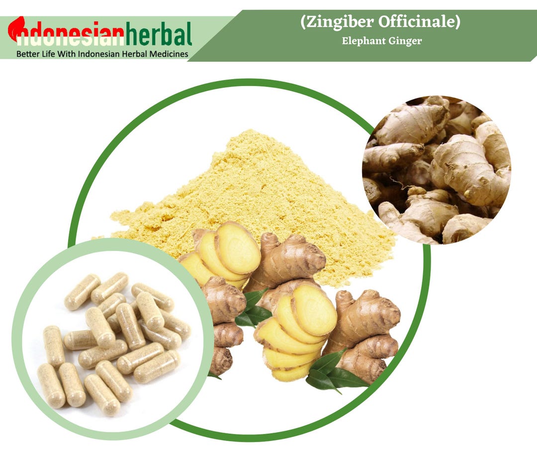Capsule of Pure Elephant Ginger Zingiber Officinale 600mg Organic ...