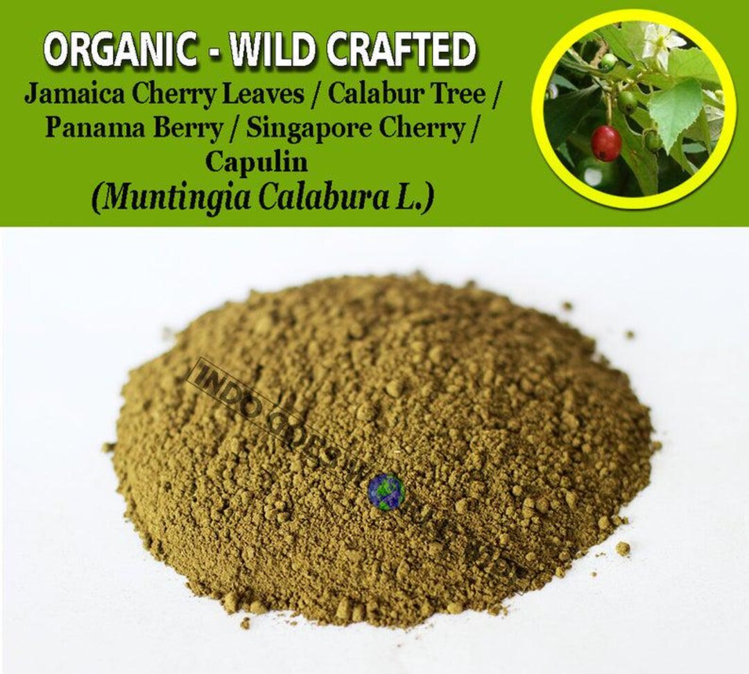 POWDER Kerson Leaves Jamaica Cherry Calabur Tree Capulin Panama Berry ...