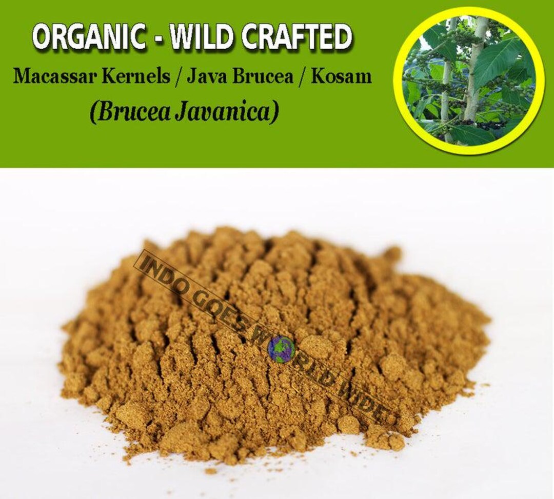 POWDER Macassar Kernels Java Brucea Kosam Brucea Javanica Organic ...