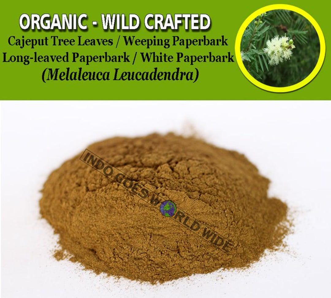 POWDER Cajeput Tree Leaves Weeping Paperbark Long-leaved Paperbark ...