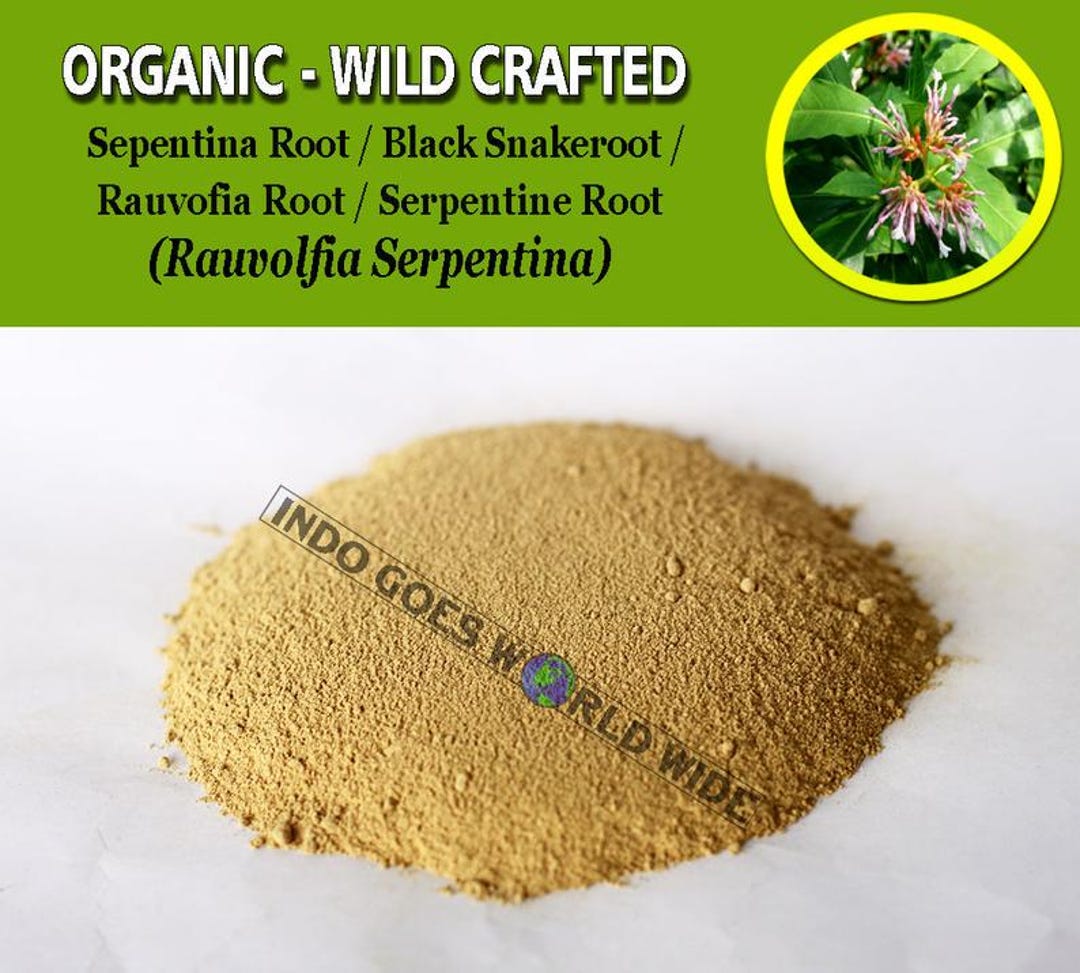 POWDER Indian Snakeroot Serpentine Wood Snakeroot Rauvolfia Serpentina ...