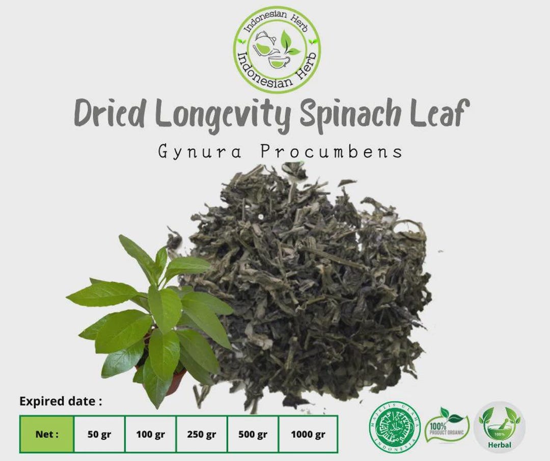 Dried Longevity Spinach Leaf Dry Gynura Procumbens Premium Organic ...