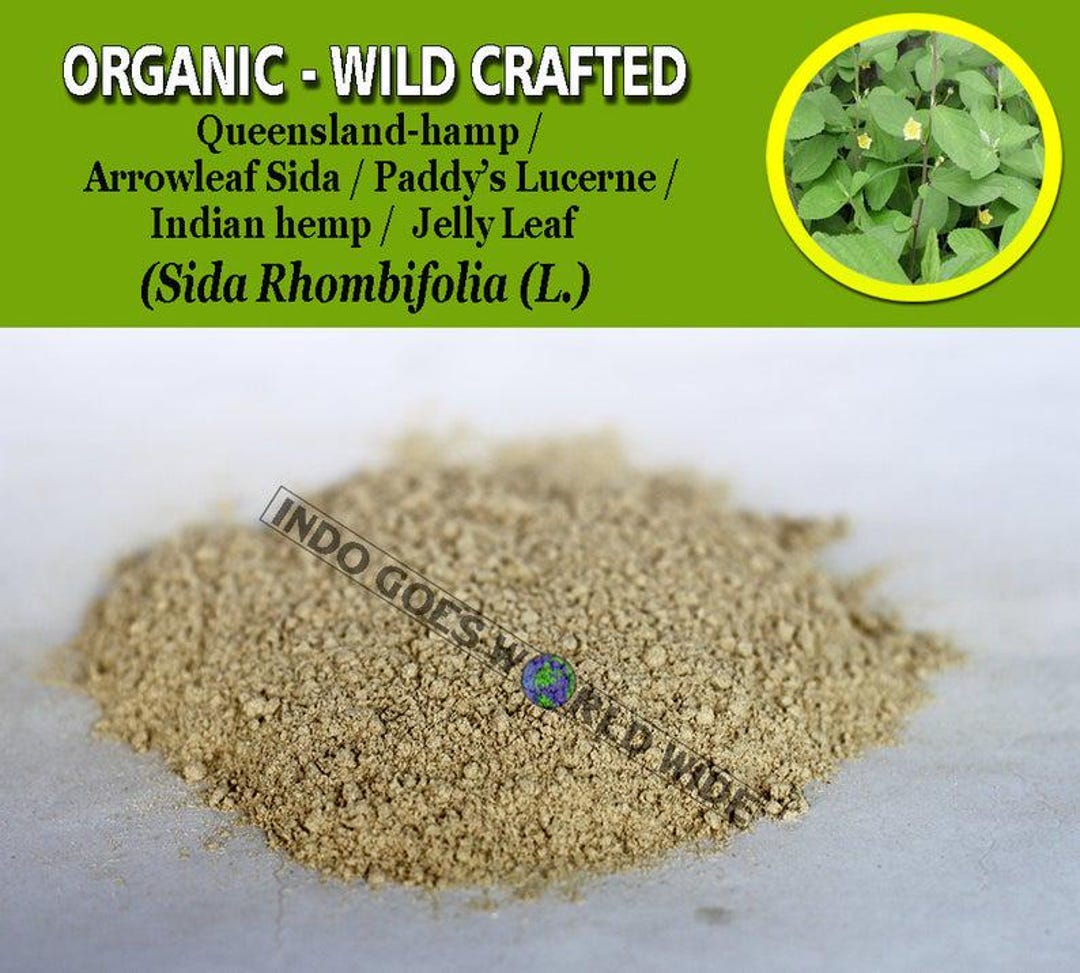 POWDER Arrowleaf Sida Roots Paddy's Lucerne Jelly Leaf Queensland-hemp Indian Hemp Sida ...