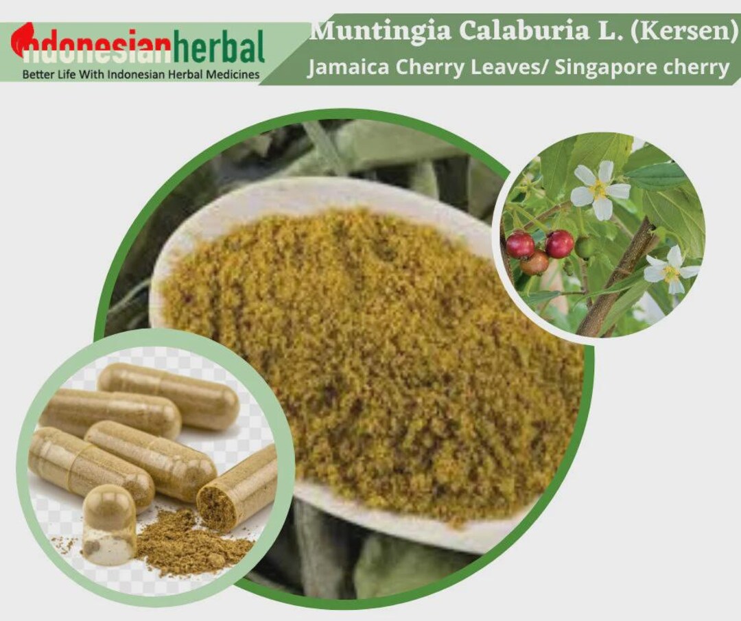 Capsule of Pure Kerson Leaves Jamaica Cherry Calabur Tree Capulin ...