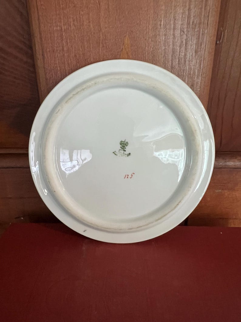 Vintage Hand Painted German Porcelain Floral Round Plate - Etsy