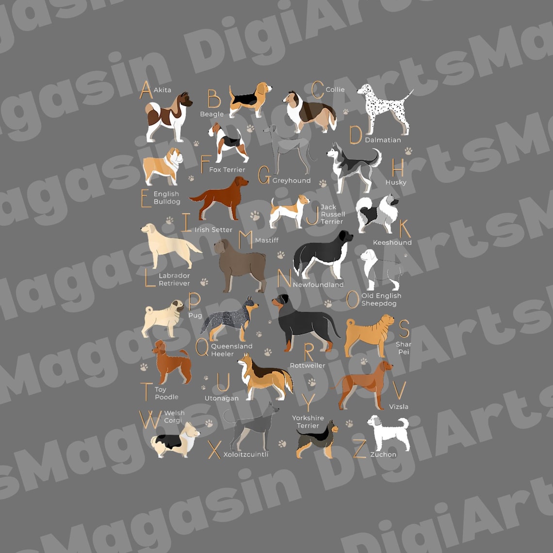 ABC Dog Breeds Identification PNG | A-Z Types of Dogs Design | Canine ...