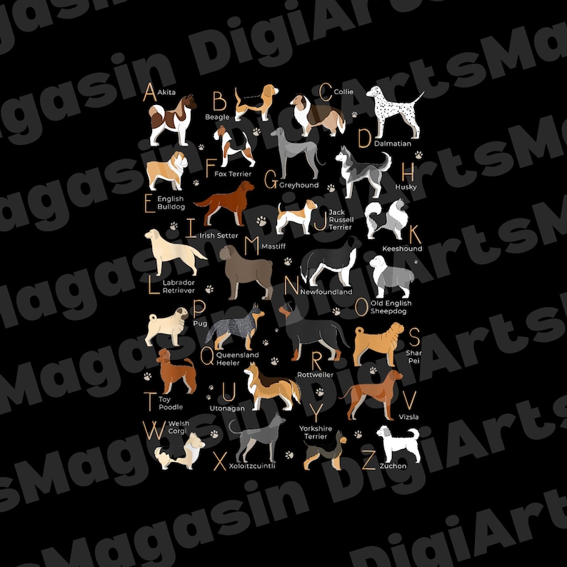 ABC Dog Breeds Identification PNG | A-Z Types of Dogs Design | Canine ...