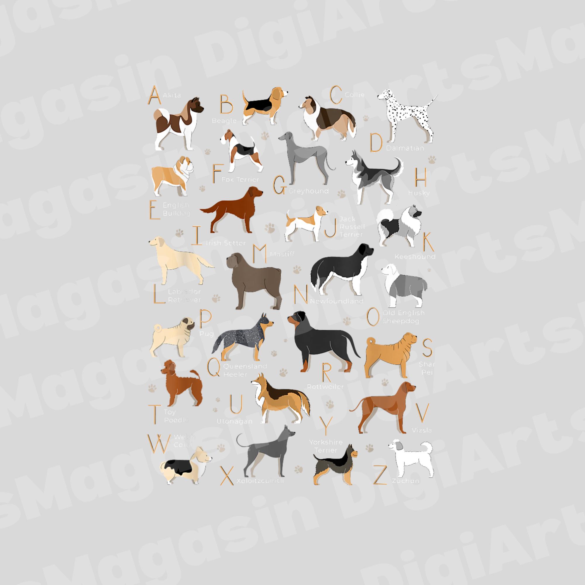 ABC Dog Breeds Identification PNG | A-Z Types of Dogs Design | Canine ...