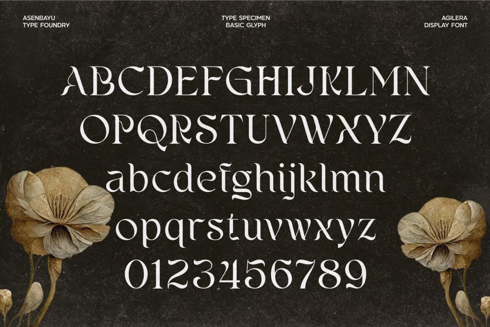 Agilera Font - Serif Font - Classy Fonts , Modern Font, Canva Font ...