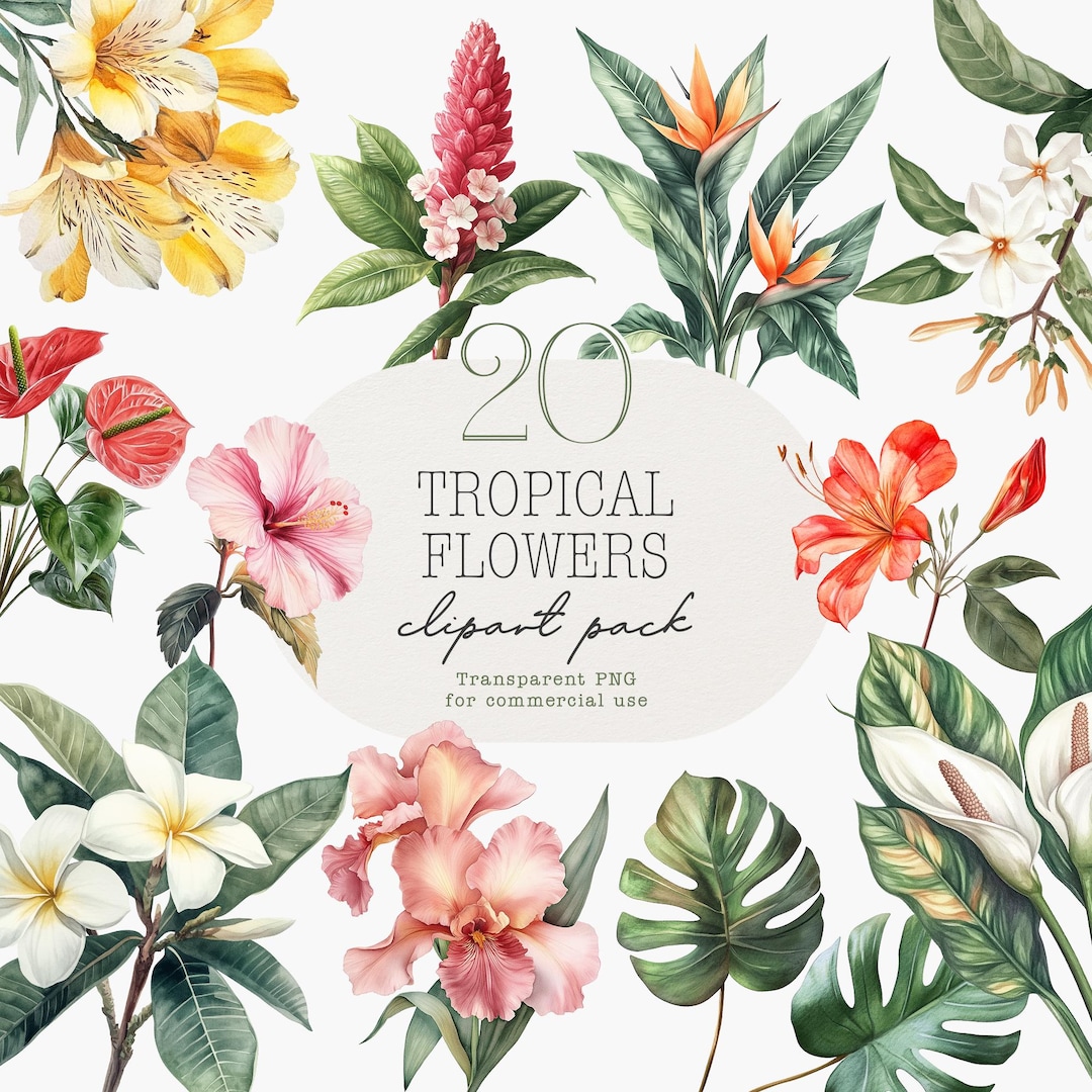 Watercolor Tropical Flower Clipart: PNG Blooms & Leaves (digital ...