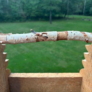 Vintage Rustic Natural Handmade Wood Tool Box Caddy Tote Branch Handle ...