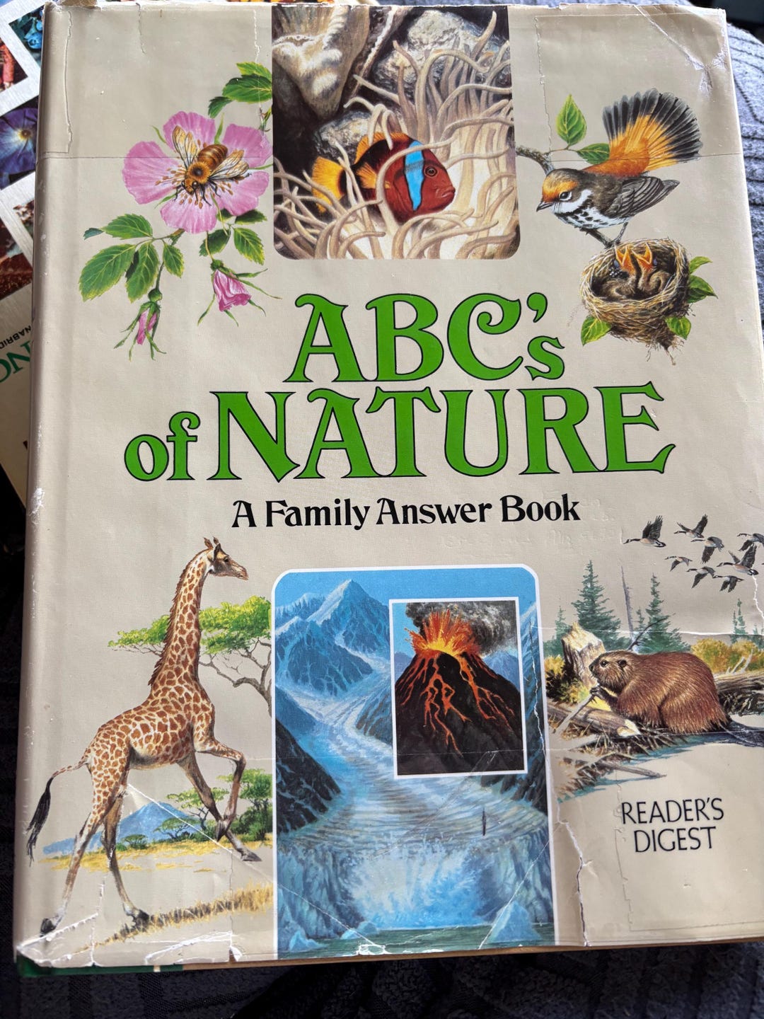 Vintage Abc's of Nature Book: 1984 Reader's Digest Hardcover - Etsy