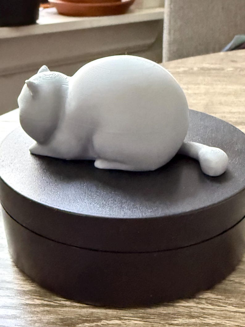 Angry Little Fat Cat - Etsy