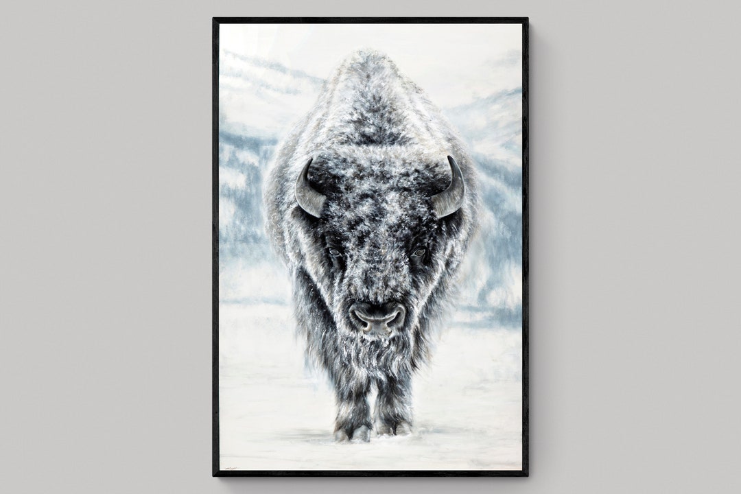 Buffalo in Snow Canvas Print, Limited Edition Bison Wildlife Art - Etsy