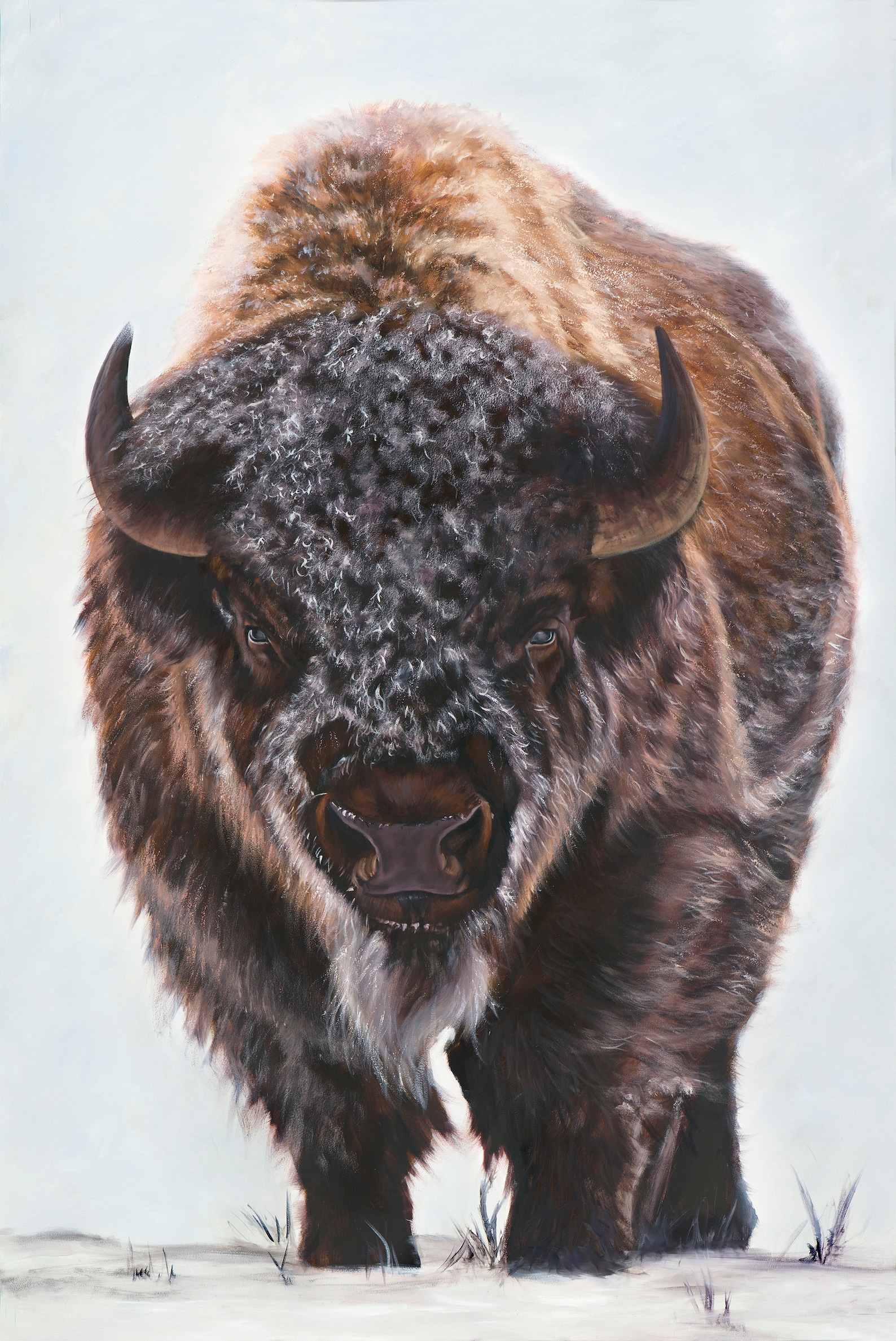 Print on Canvas Buffalo Painting Bison Wildlife Art - Etsy