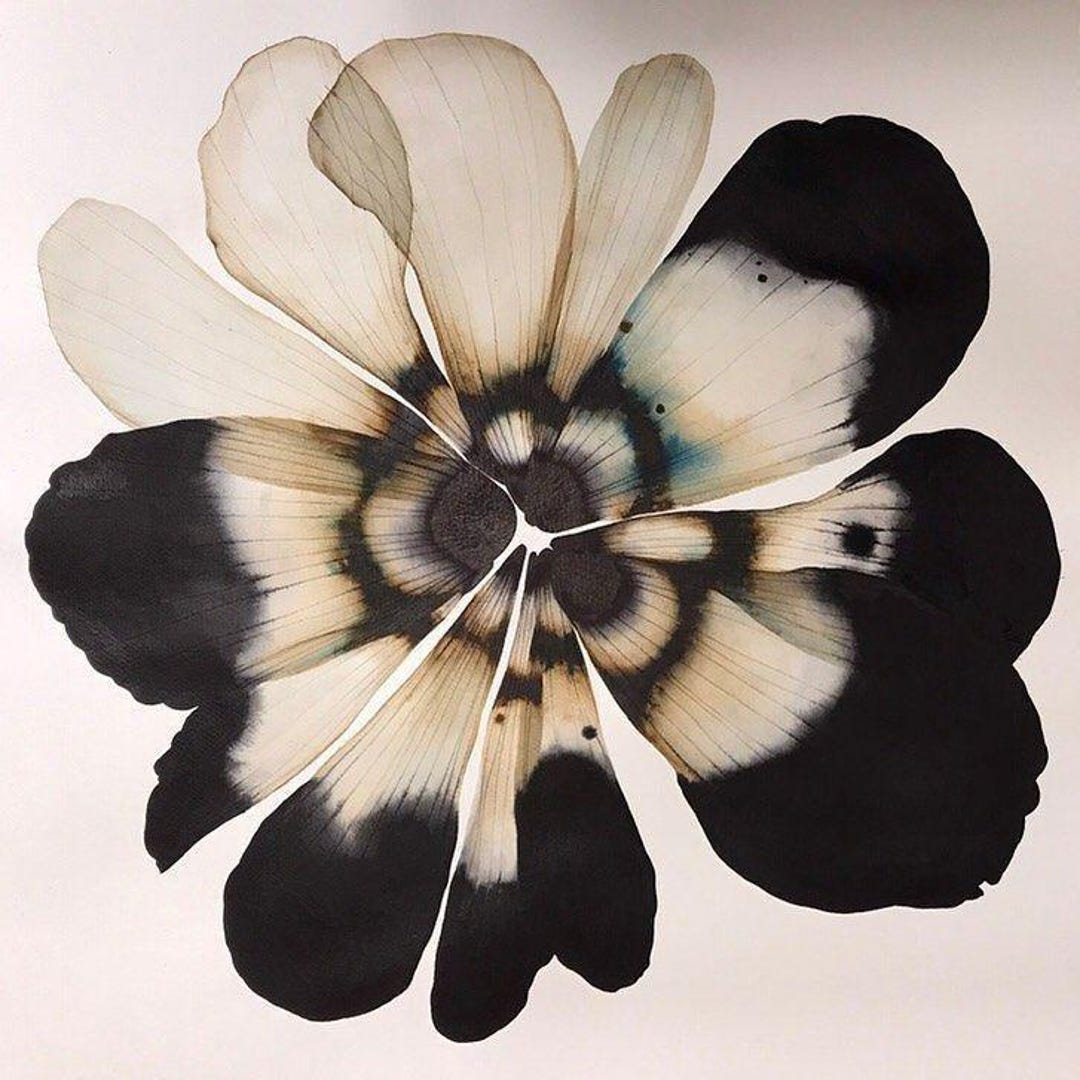 Ink and Water Flower Print - Etsy Australia