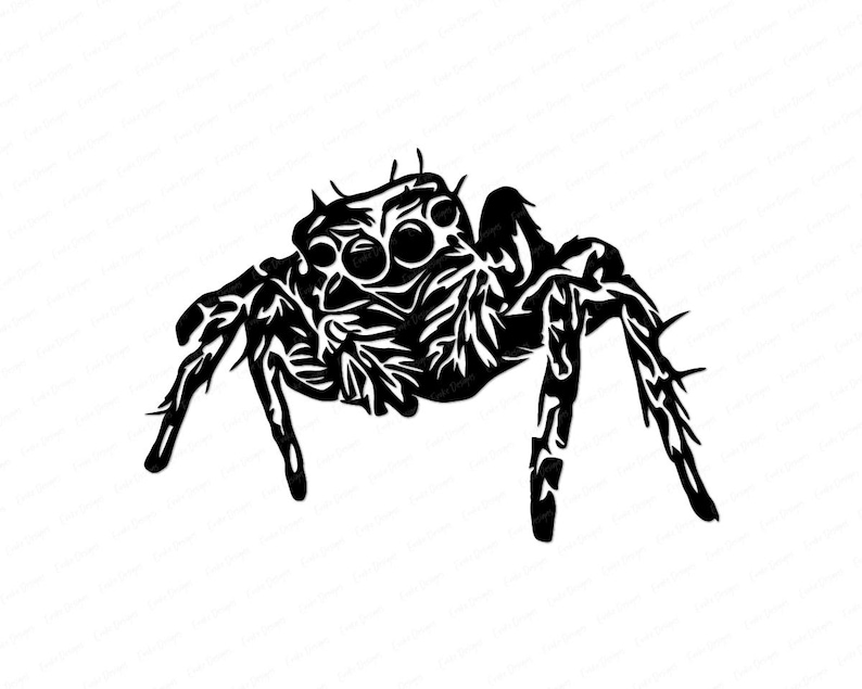 Jumping Spider SVG - Cute Realistic Spider, Arachnid Clipart, Halloween ...