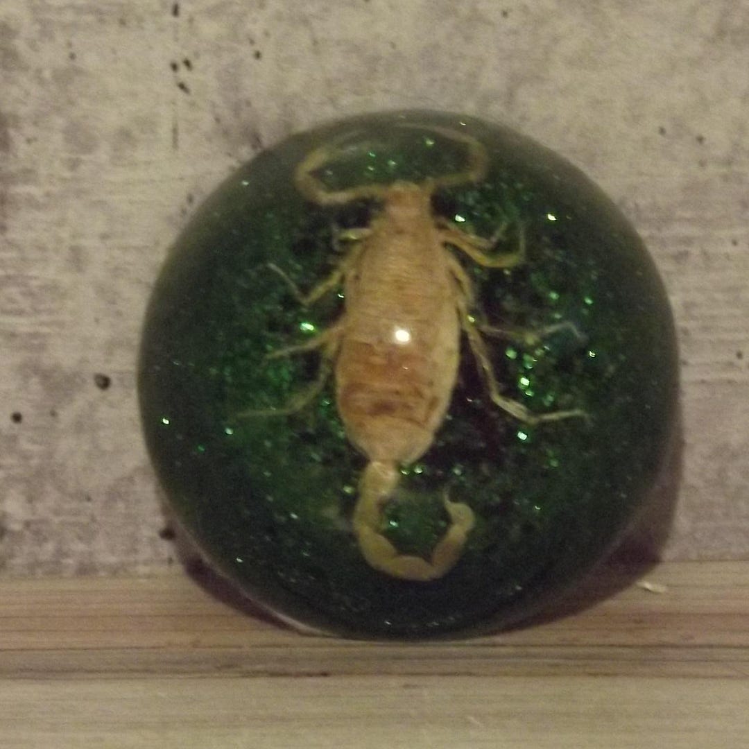 Vintage Scorpion Desk Paperweight LUCITE HALF GLOBE EB46 - Etsy