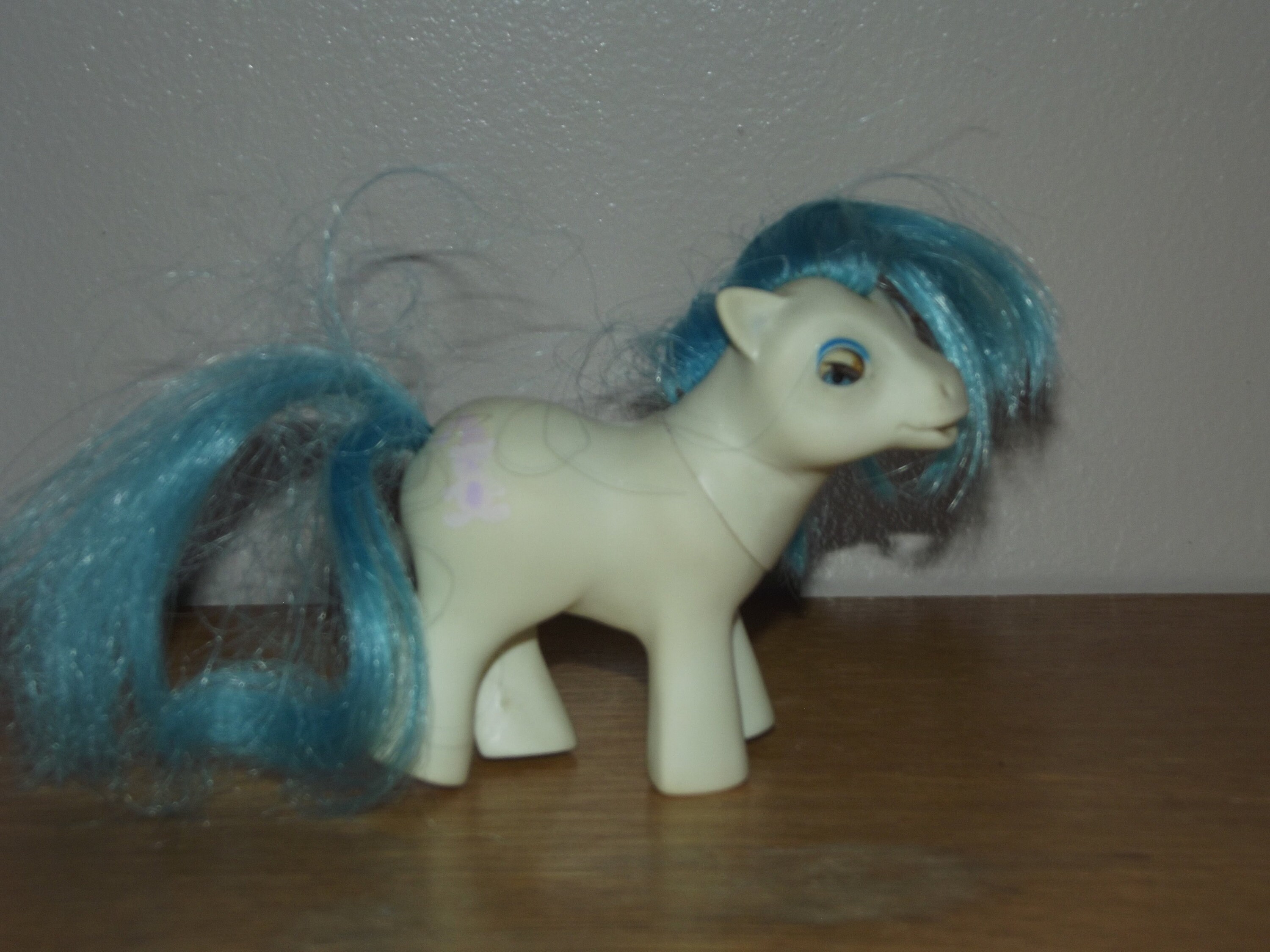 Seeing Eye Pony