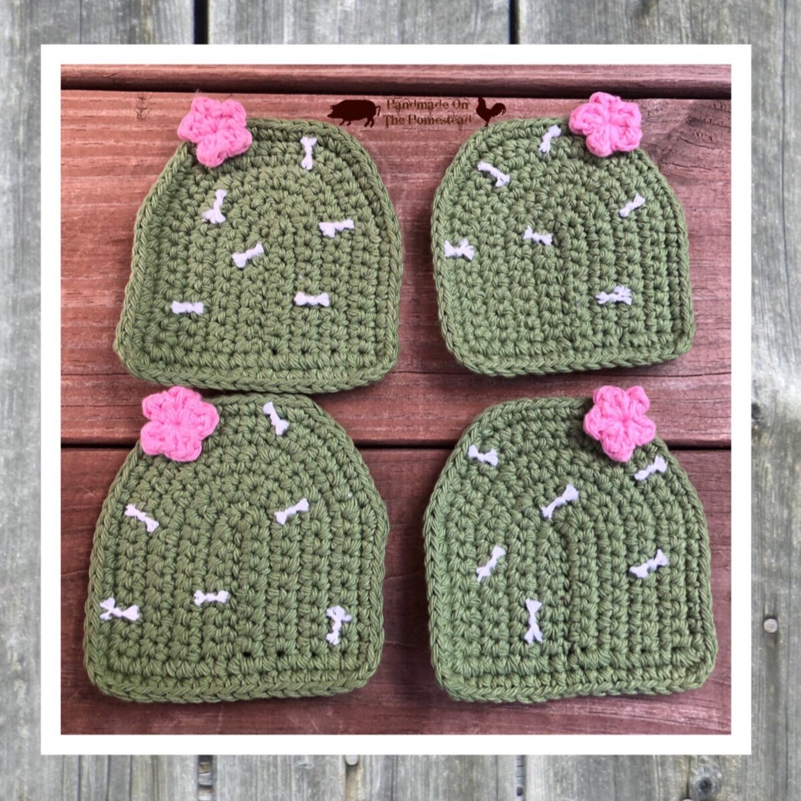 PATTERN Cactus Coaster Crochet Cactus Cactus Decor - Etsy