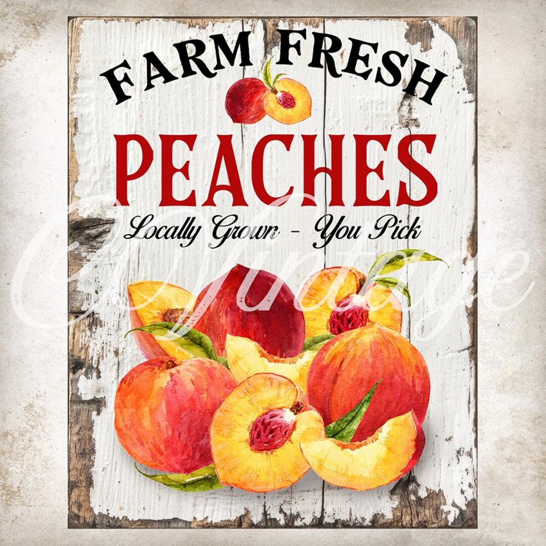 Vintage Rustic Peaches Farmhouse Kitchen Wall Art DIY Sign Sublimation ...