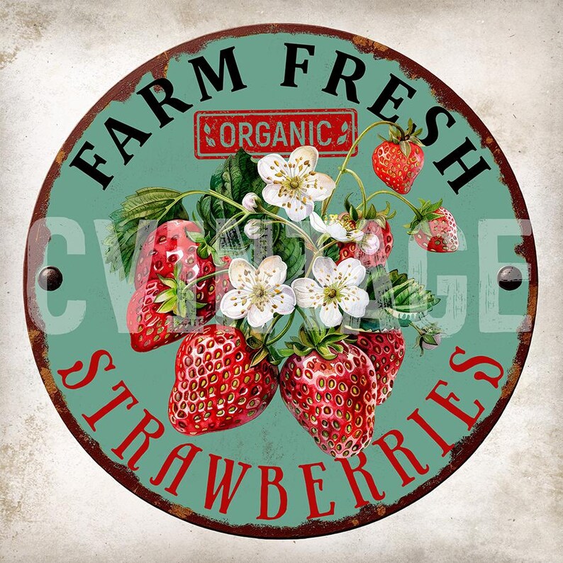 8 Inch Round Farm Fresh Strawberries Rustic Farmhouse Kitchen DIY Sign ...