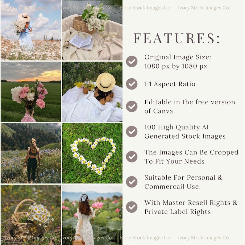 Nature Stock Photos | Instagram Images, MRR PLR (digital Download) - Etsy