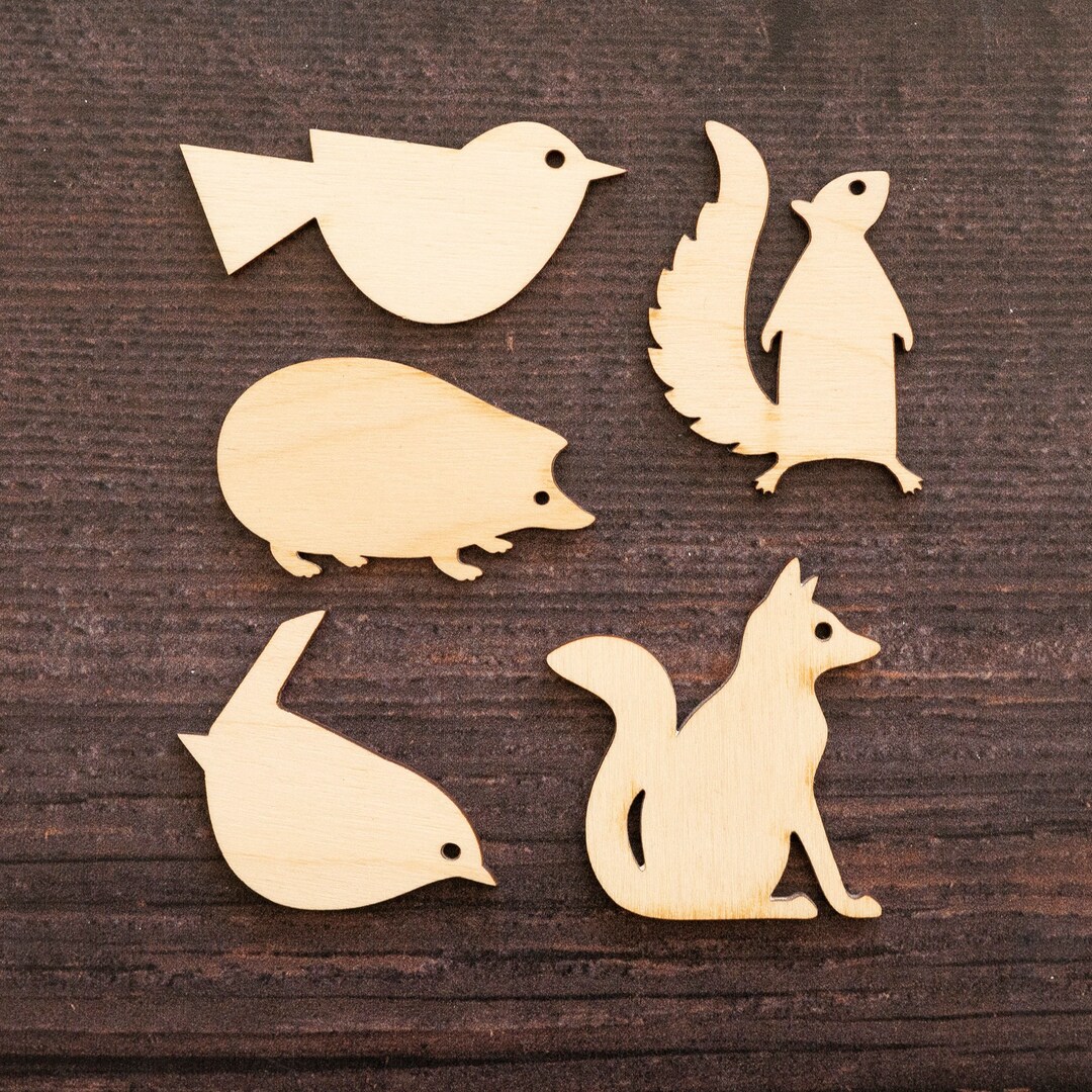 Animal Brooch Craft Kit, Design Your Own Brooch, Into the Garden - Etsy