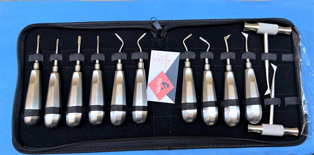 Orthodontic Dental Stainless Steel Luxating Lift Elevator Teeth Set 12 ...