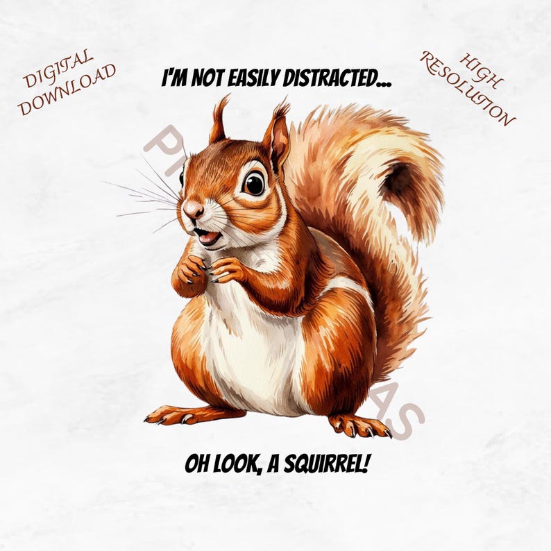 Funny ADHD Squirrel PNG, Adhd Mental Health Humor Sarcasm ...