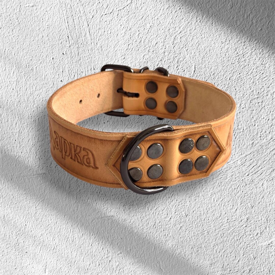 Custom Personalized Leather Collar for Dog, Custom Collar Dog Collar ...