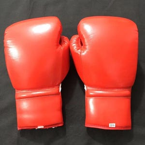 Winning Boxing Gloves, Lace up Boxing Gloves, Personalized Boxing Gear ...