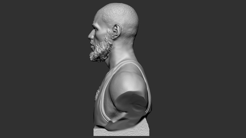 Lebron James 3d Print Model - Etsy