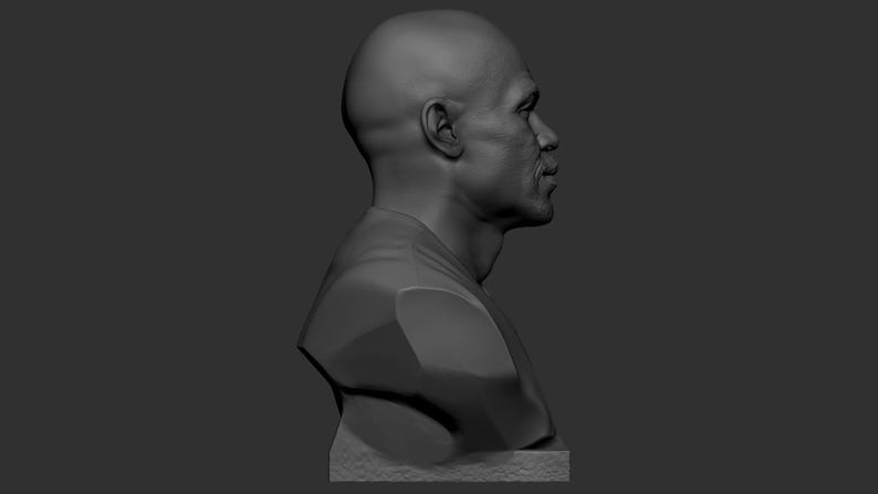 Floyd Mayweather 3d Print Model - Etsy