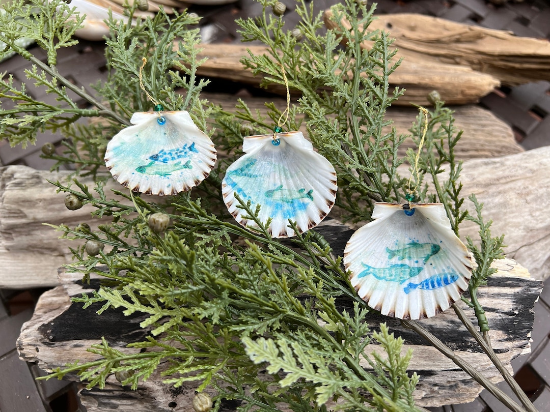 Set of 3 Scallop Shell Hand Made Ornaments With Blue and Green Fish - Etsy
