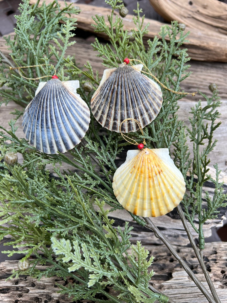 Set of 3 Shell Ornaments, Decoupaged Pine and Holly, Free Shipping - Etsy