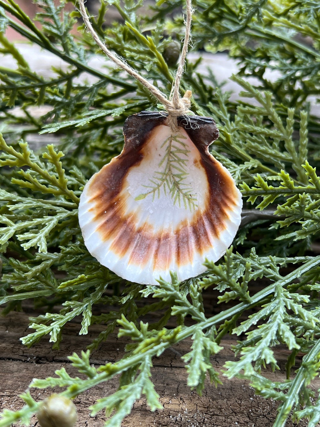 Minimalist Shell Ornament With Decoupaged Pine Tree Branch for Rustic ...