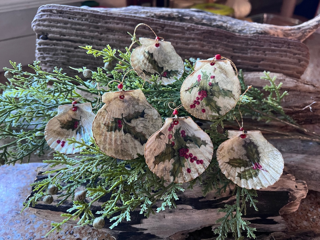 Scallop Shell Ornament Set of 6 With Free Coordinating Oyster Ornament ...