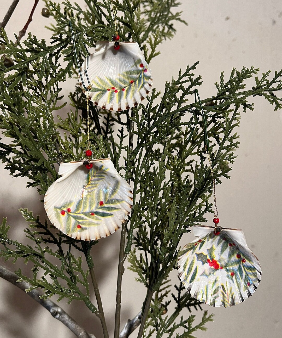 Set of 3 Scallop Shell Hand Made Ornaments With Pine and Holly, Free ...