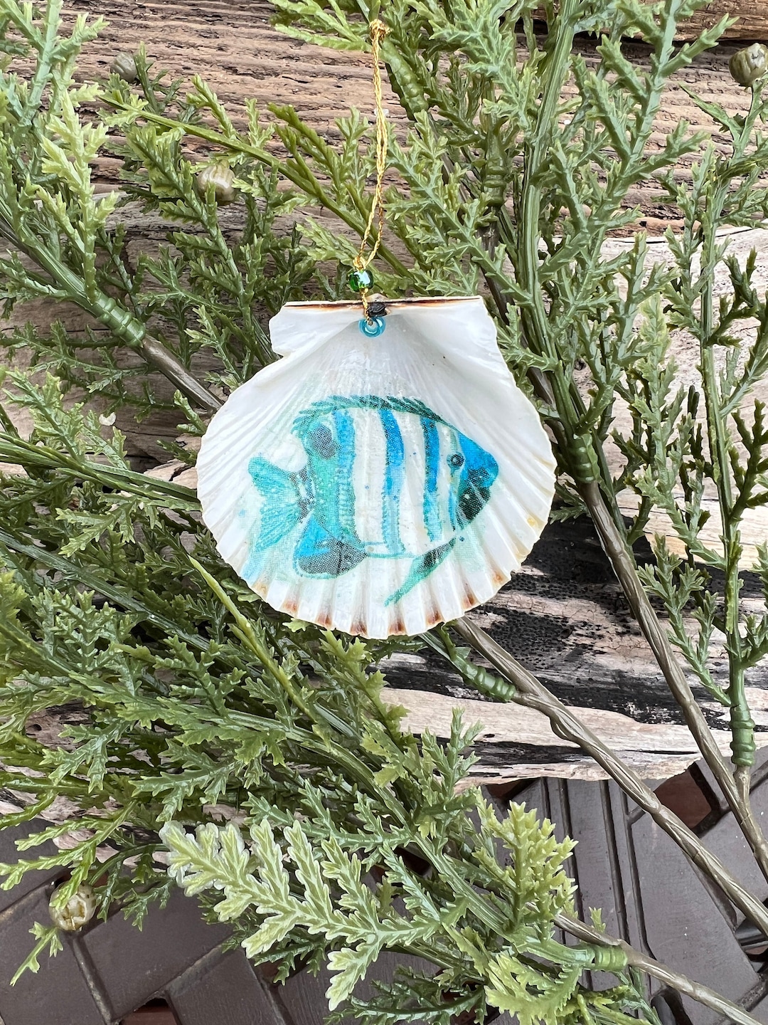 Shell Ornament With Decoupaged Fish on Scallop Shell, Free Shiping - Etsy