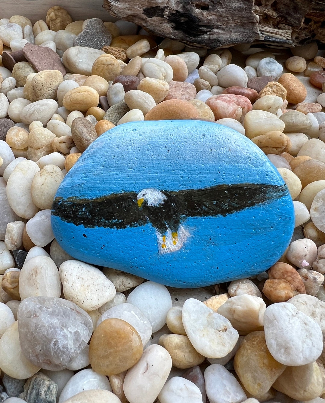 Bald Eagle Bird Hand Painted Rock - Etsy
