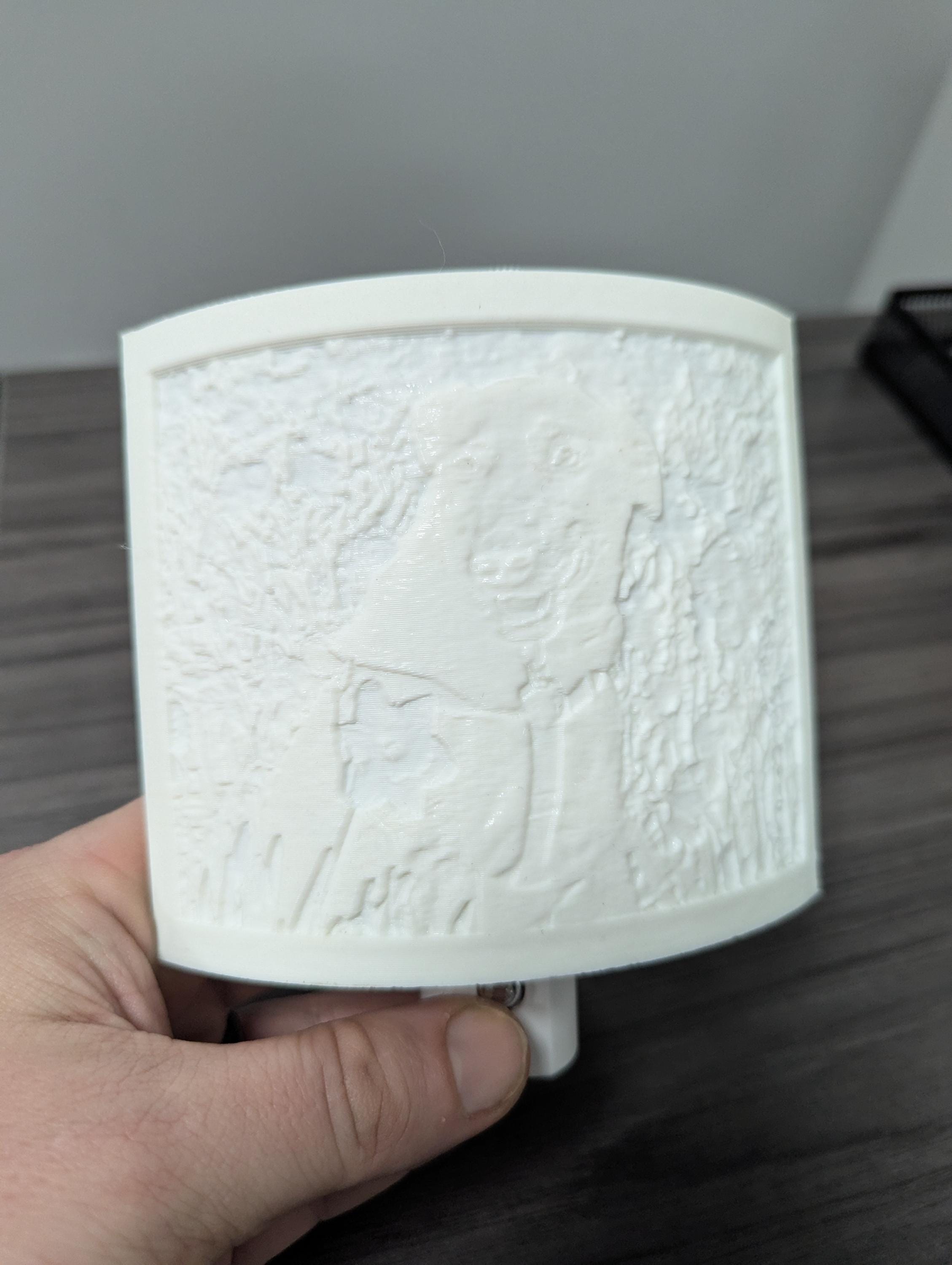 Custom 3D Printed Lithophane Night Light – Personalized Photo Lamp, LED ...
